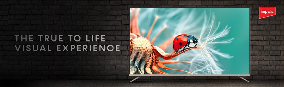 Impex 65-Inch Gloria Ultra HD 4K Smart LED TV Gloria 65 smart Black UAE ...